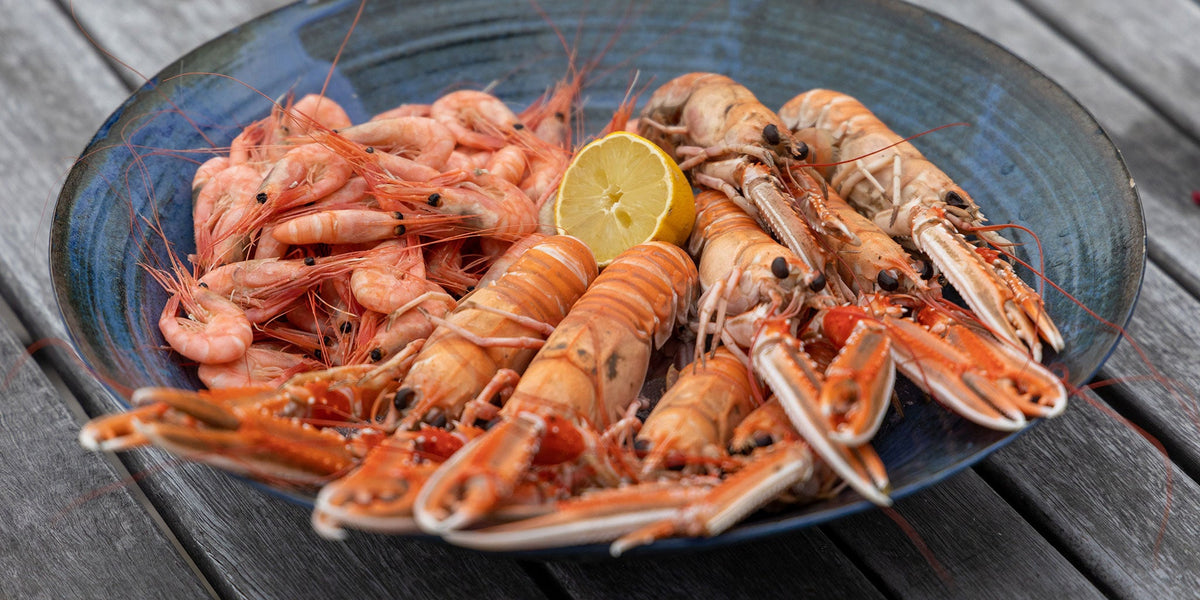 Different Types of Prawns – Colchester Oyster Fishery