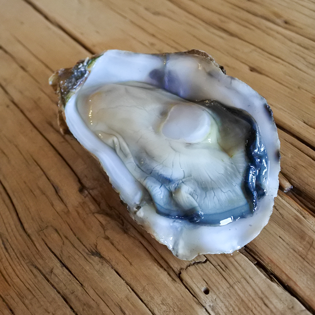 Colchester Pyefleet Oysters - Pre-shucked Oysters – Colchester Oyster ...
