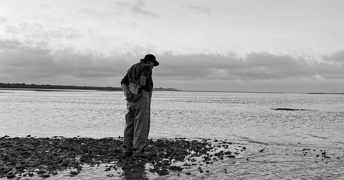 Christmas Recipes – Colchester Oyster Fishery