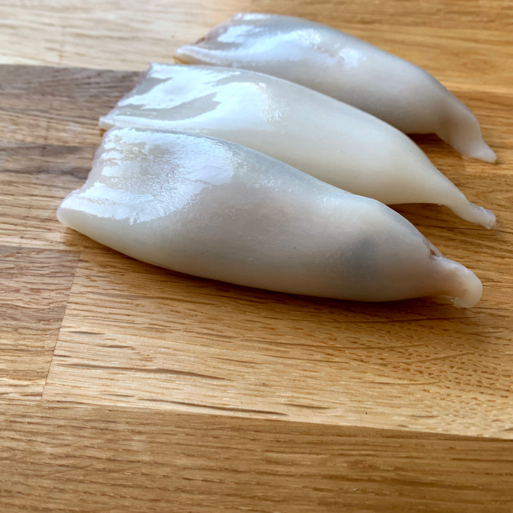 Buy Baby Squid – Colchester Oyster Fishery